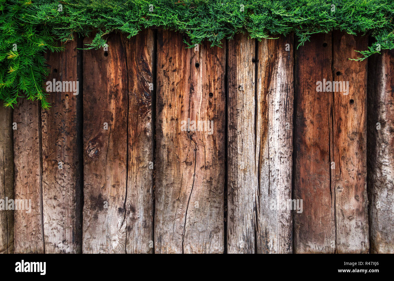 Wood hedge hi-res stock photography and images - Alamy