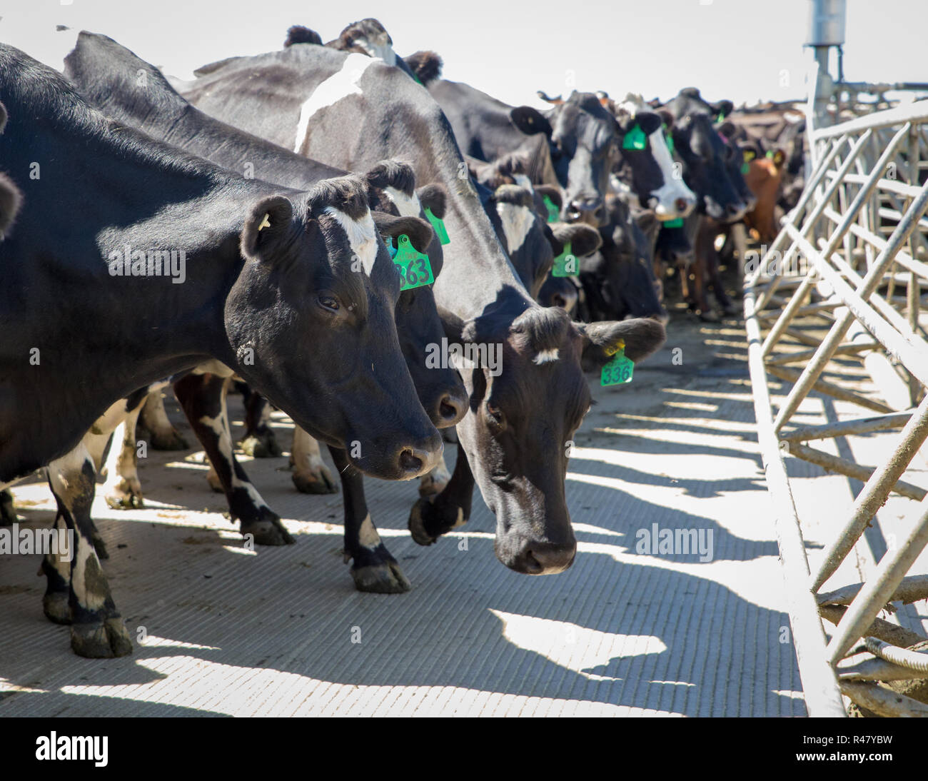 Waiting shed hi-res stock photography and images - Alamy