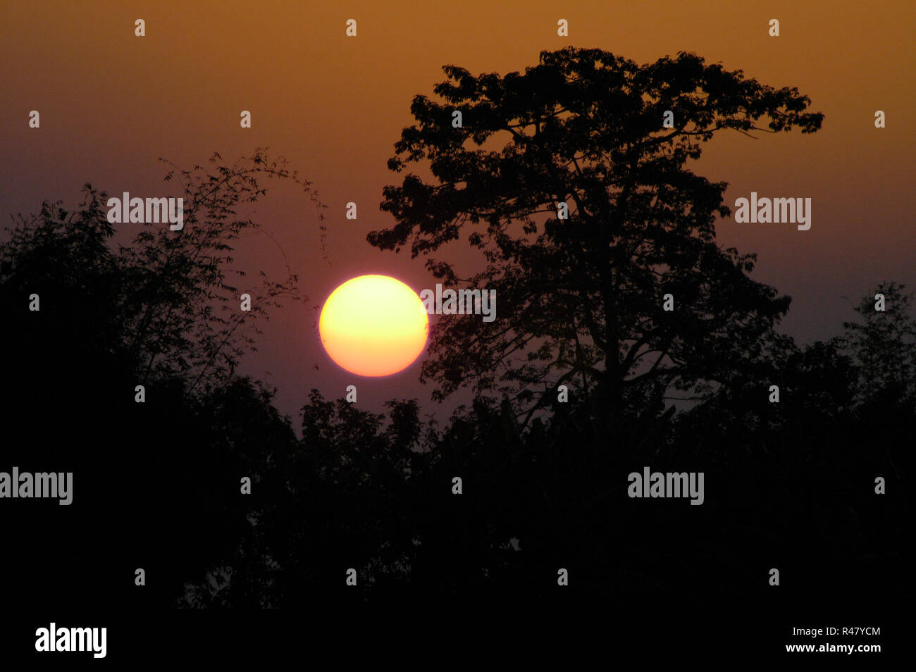 Birisiri hi-res stock photography and images - Alamy
