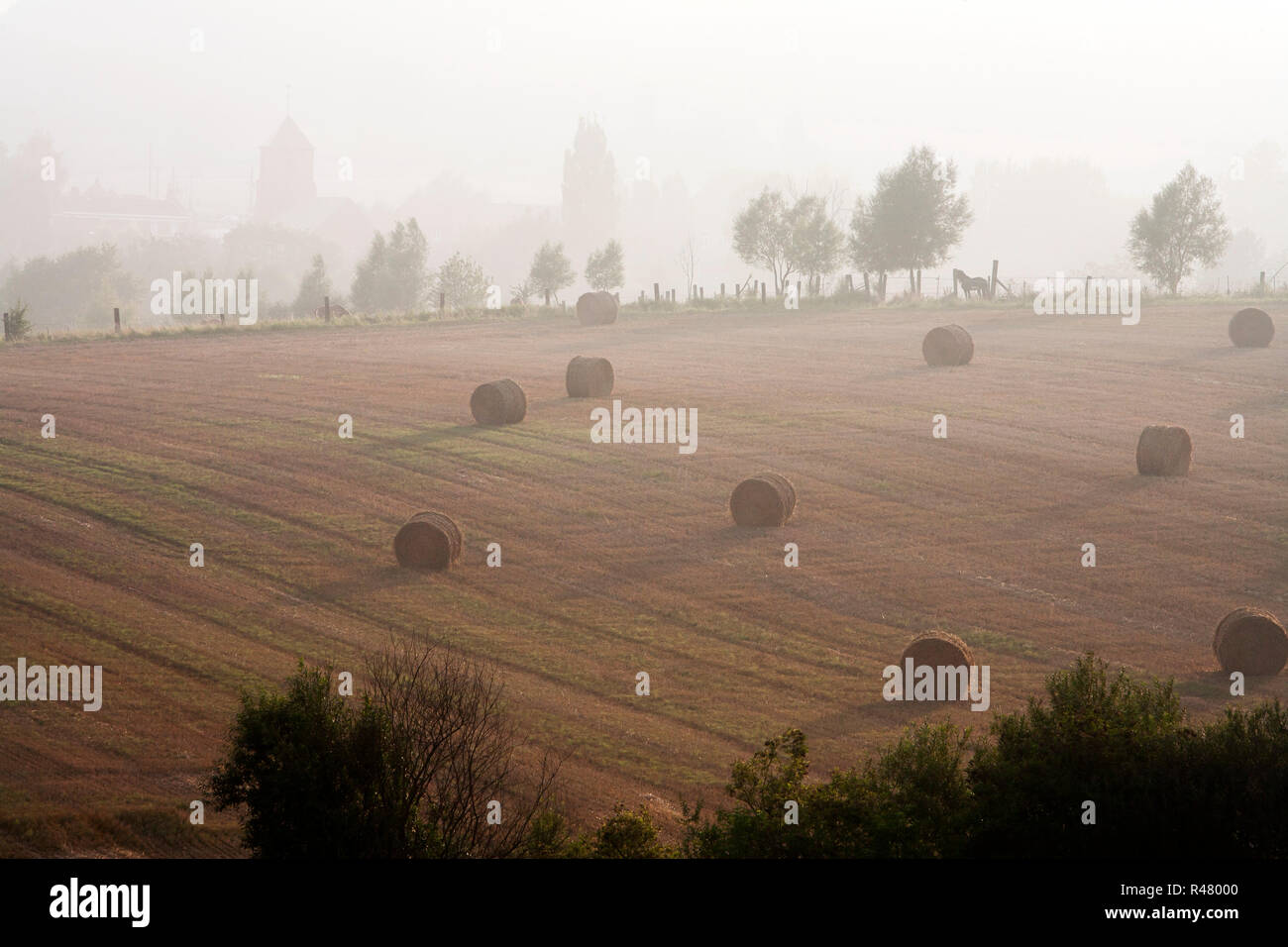 Misty rural scene Stock Photo - Alamy