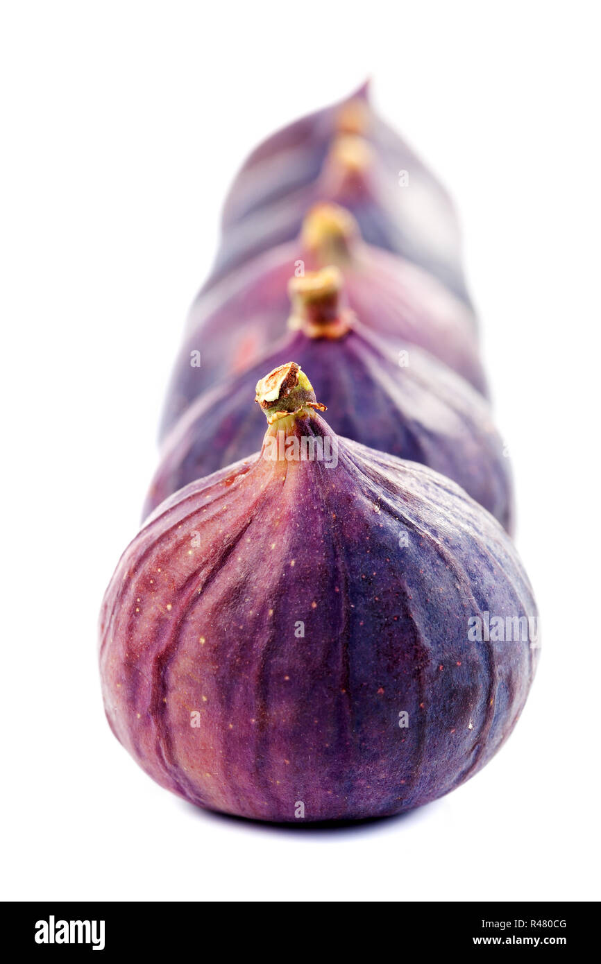 Figs in a row,Figs in a row,Figs in a row,Figs in a row,Figs in a row ...