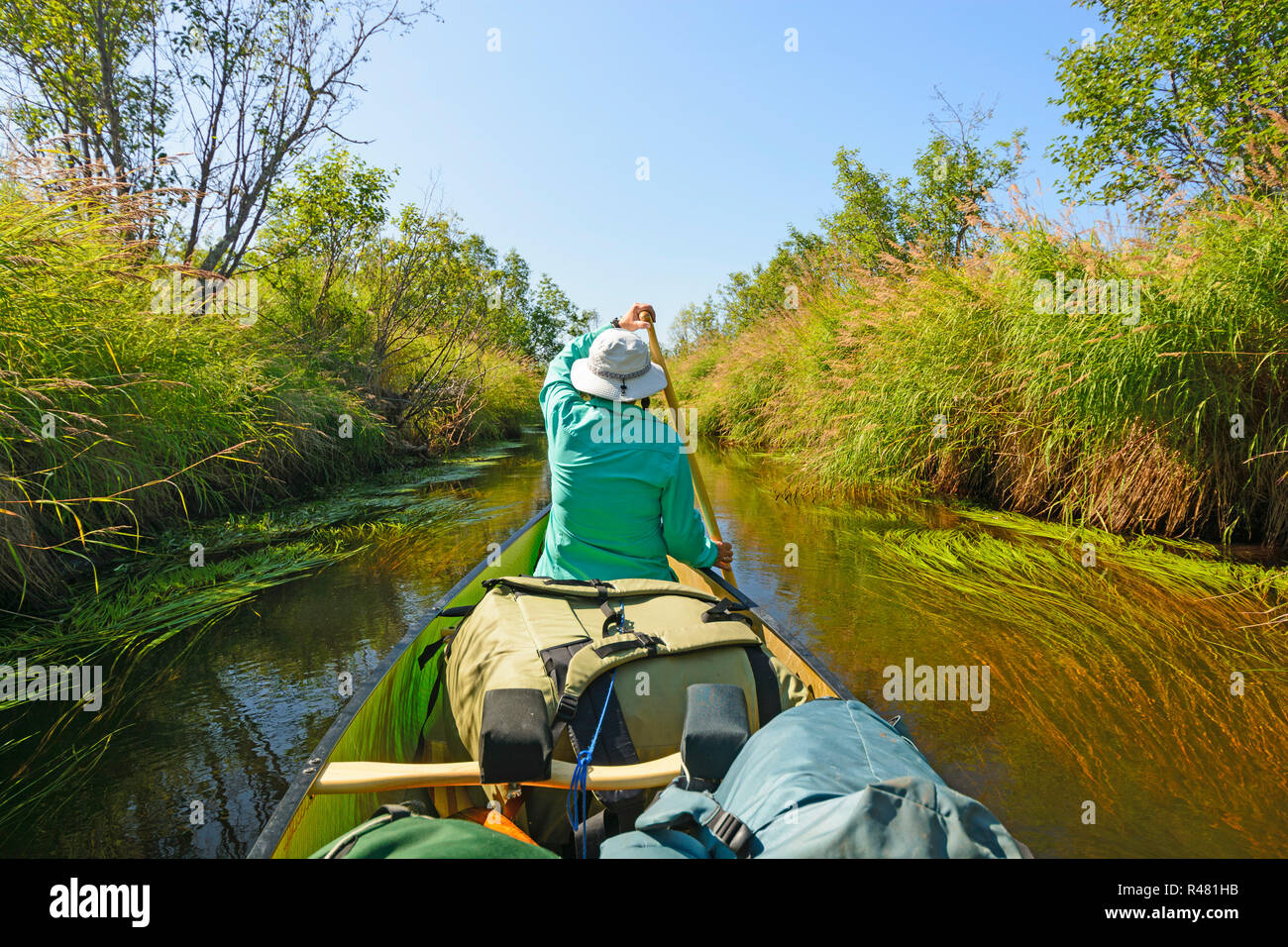 Woman canoeing down river hi-res stock photography and images - Alamy