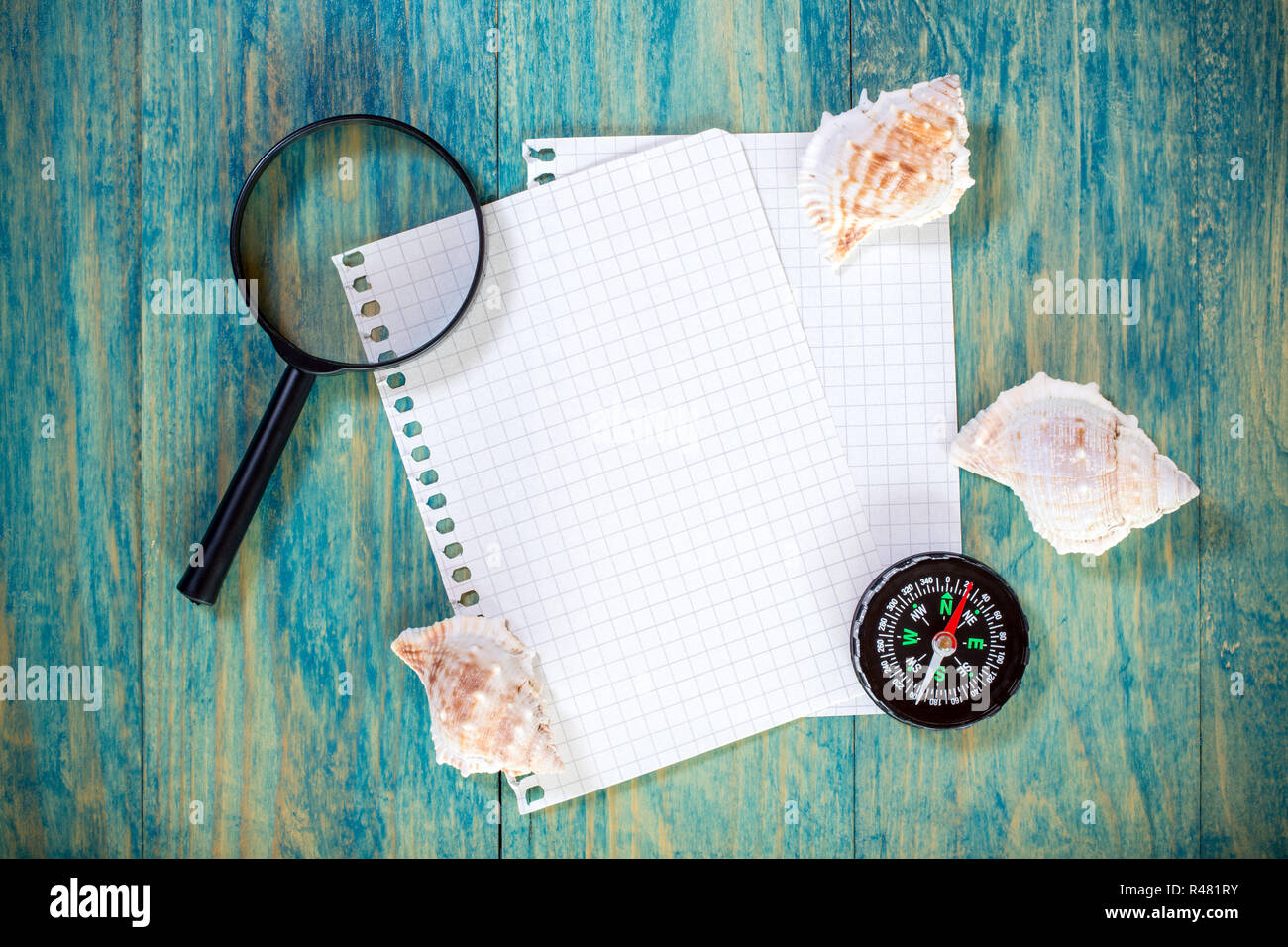 Magnifying glass shell hi-res stock photography and images - Alamy