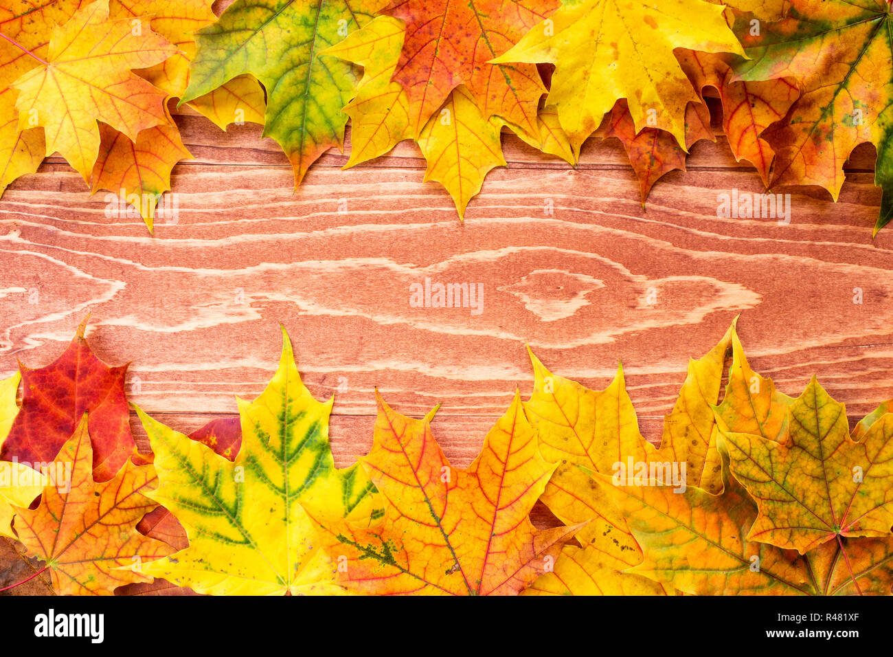 Autumn leaves background (frame Stock Photo - Alamy