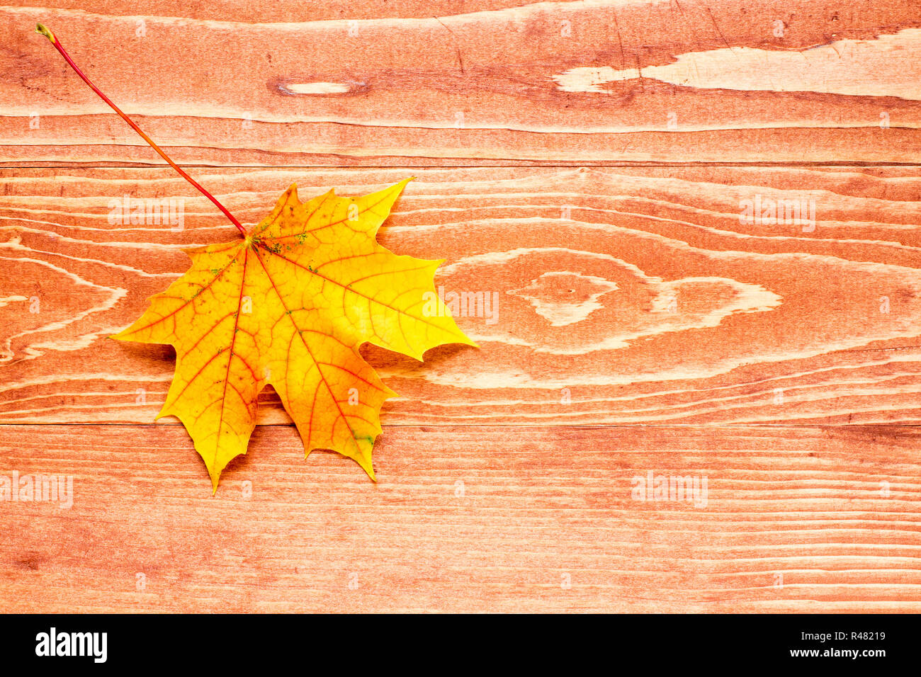 Maple leaf on the wood background with copy-space Stock Photo - Alamy