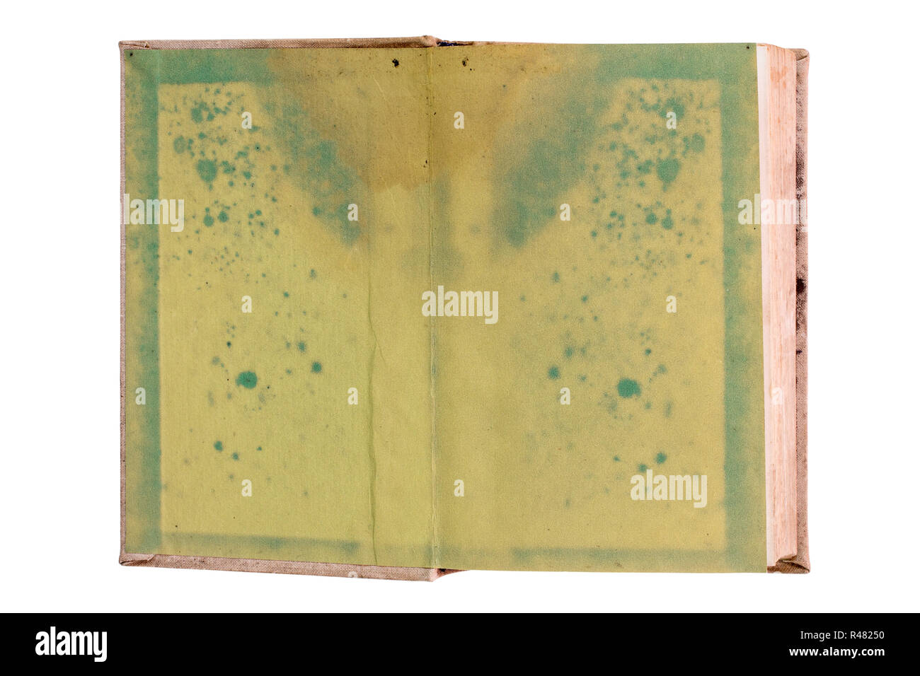 Old blank open book isolated on white Stock Photo - Alamy