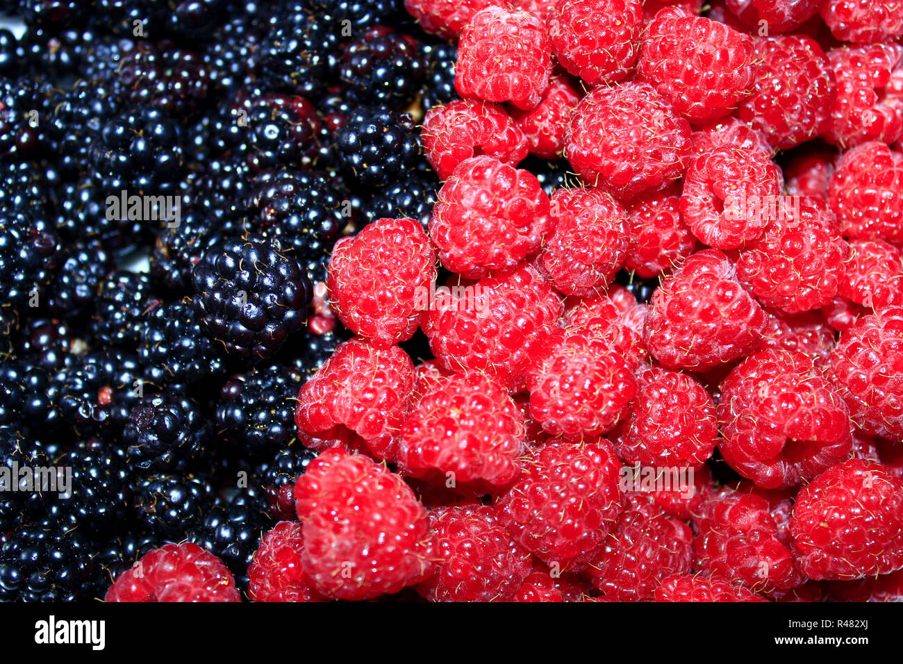 berries of blackberry and raspberry Stock Photo - Alamy