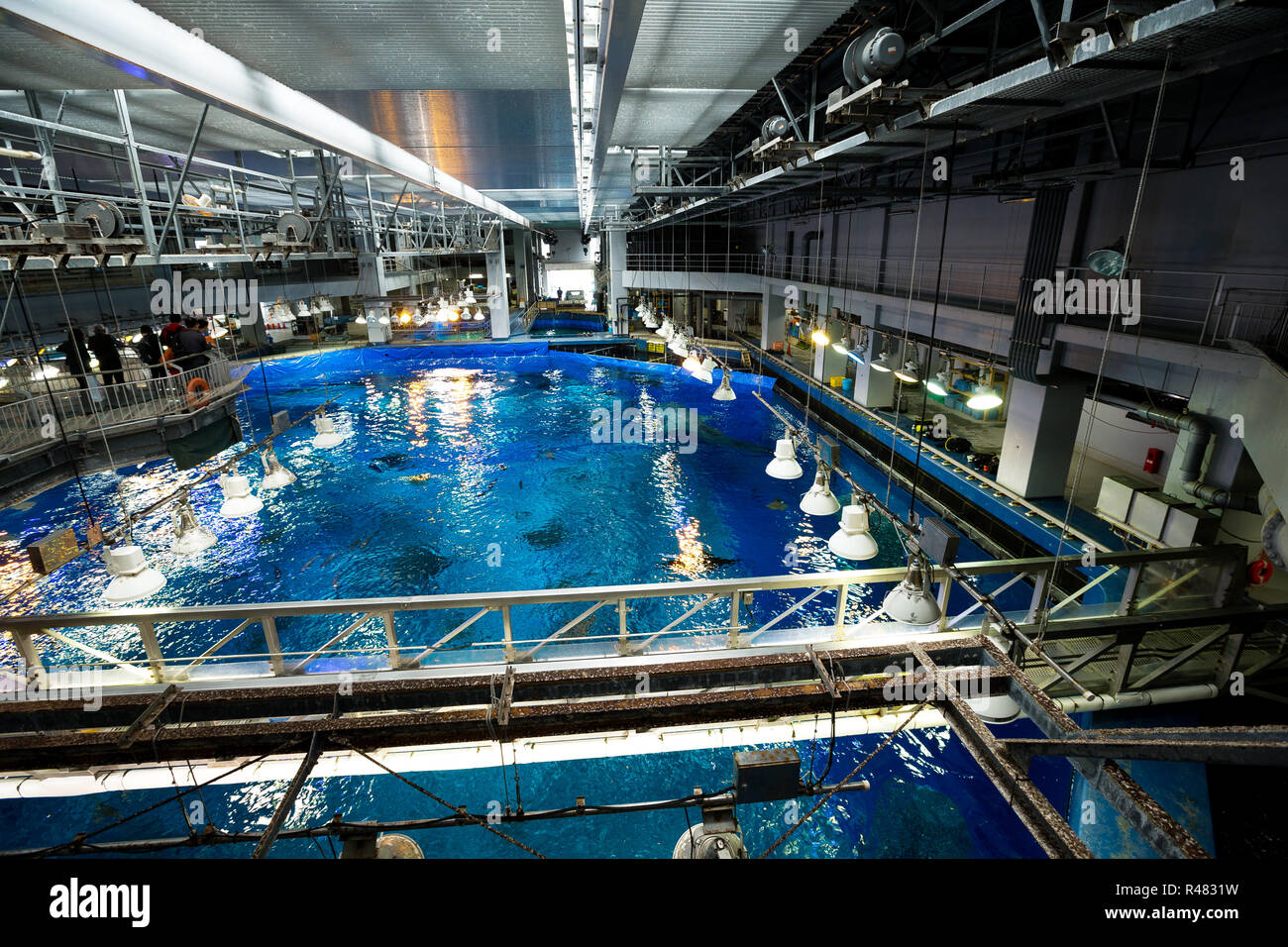 Giant Water tank in Aquarium Stock Photo - Alamy
