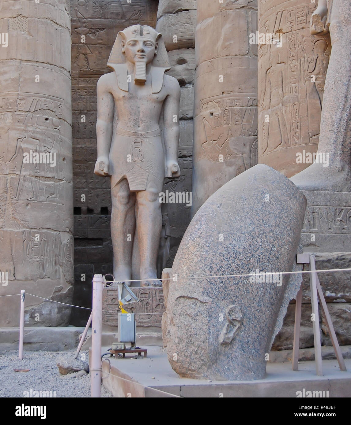 Standing statue of Ramses II in Luxor temple, Egypt Stock Photo - Alamy