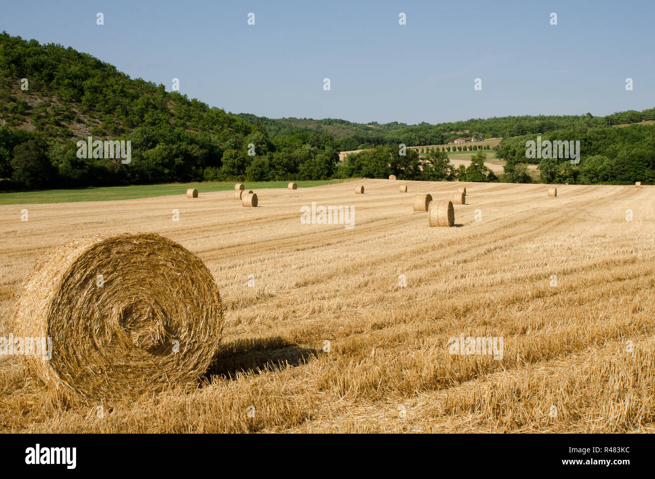 Hay bales lying in a French field Stock Photo - Alamy