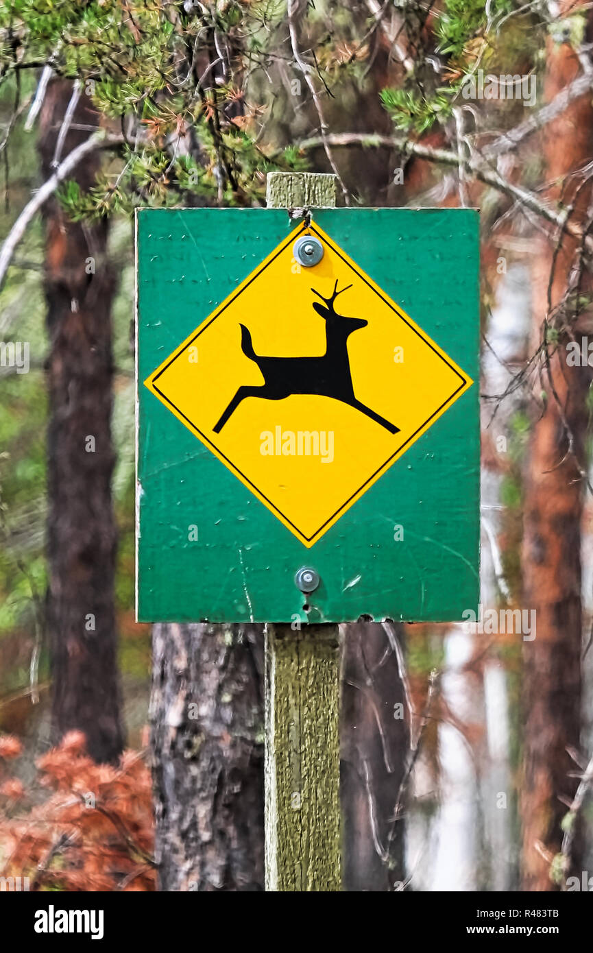 A green and orange deer crossing warning sign Stock Photo - Alamy