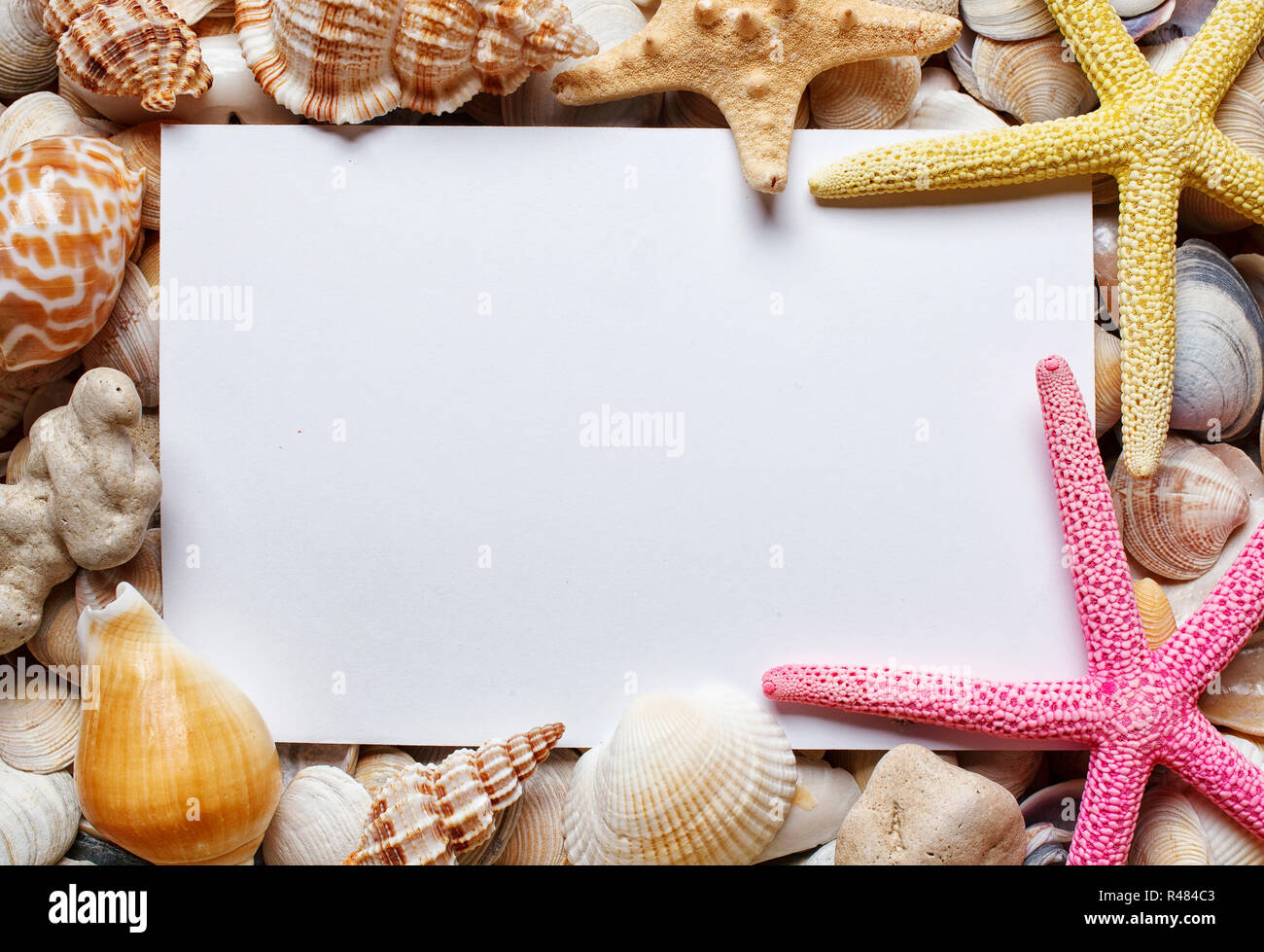 blank sheet of paper on sea Shell background Stock Photo - Alamy