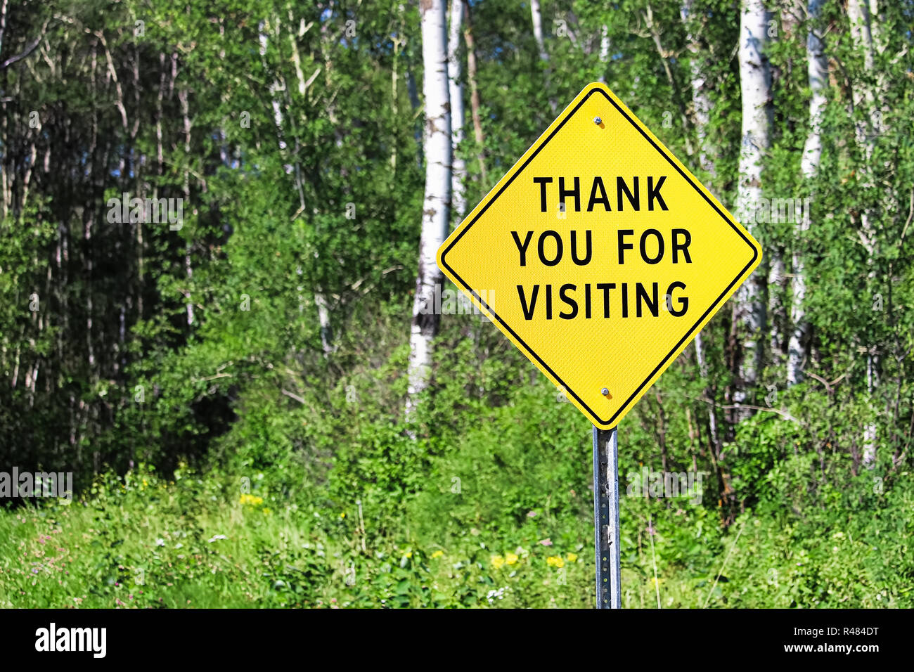 A thank you for visiting sign against a forest background Stock Photo ...