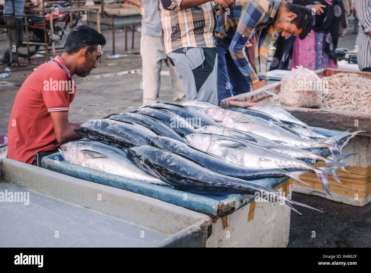 Buy gulf seafood hi-res stock photography and images - Alamy