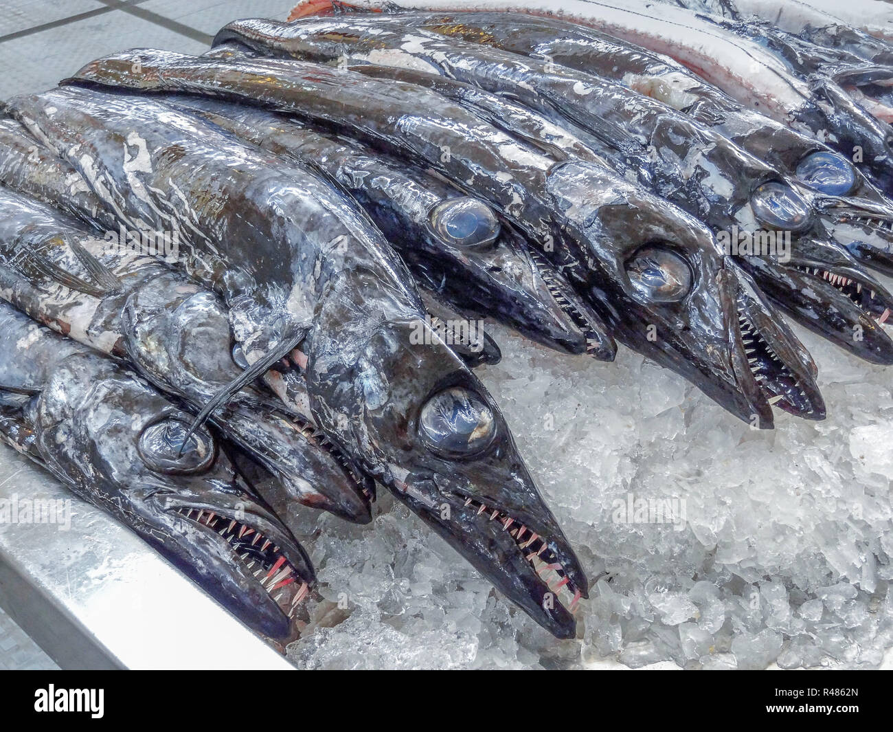 fish on ice Stock Photo - Alamy