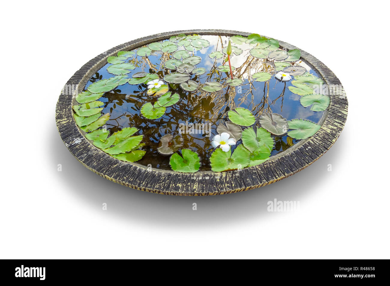 Stone flower lake Cut Out Stock Images & Pictures - Alamy
