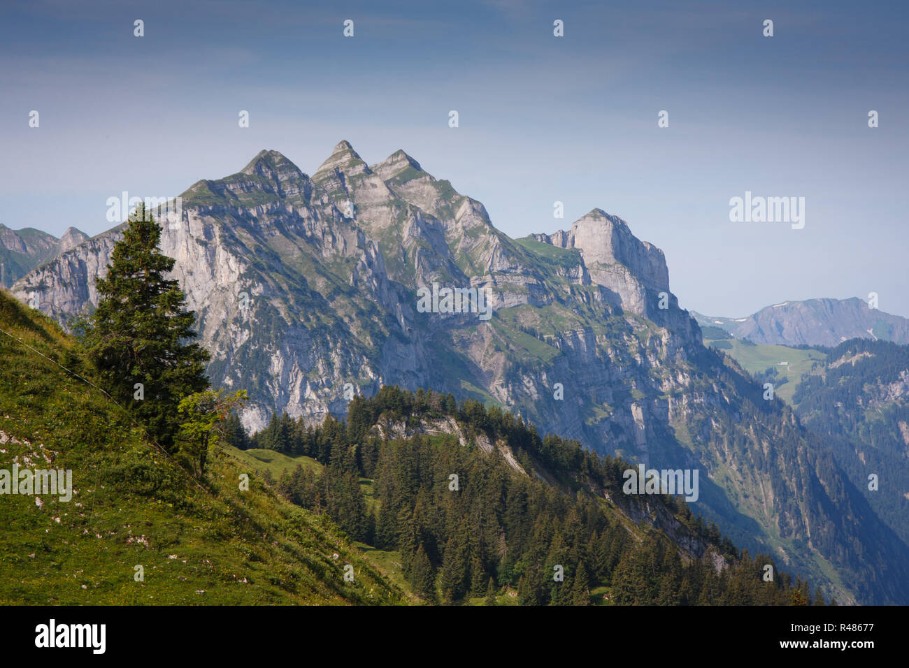 Bregenzerwald cheese hi-res stock photography and images - Alamy