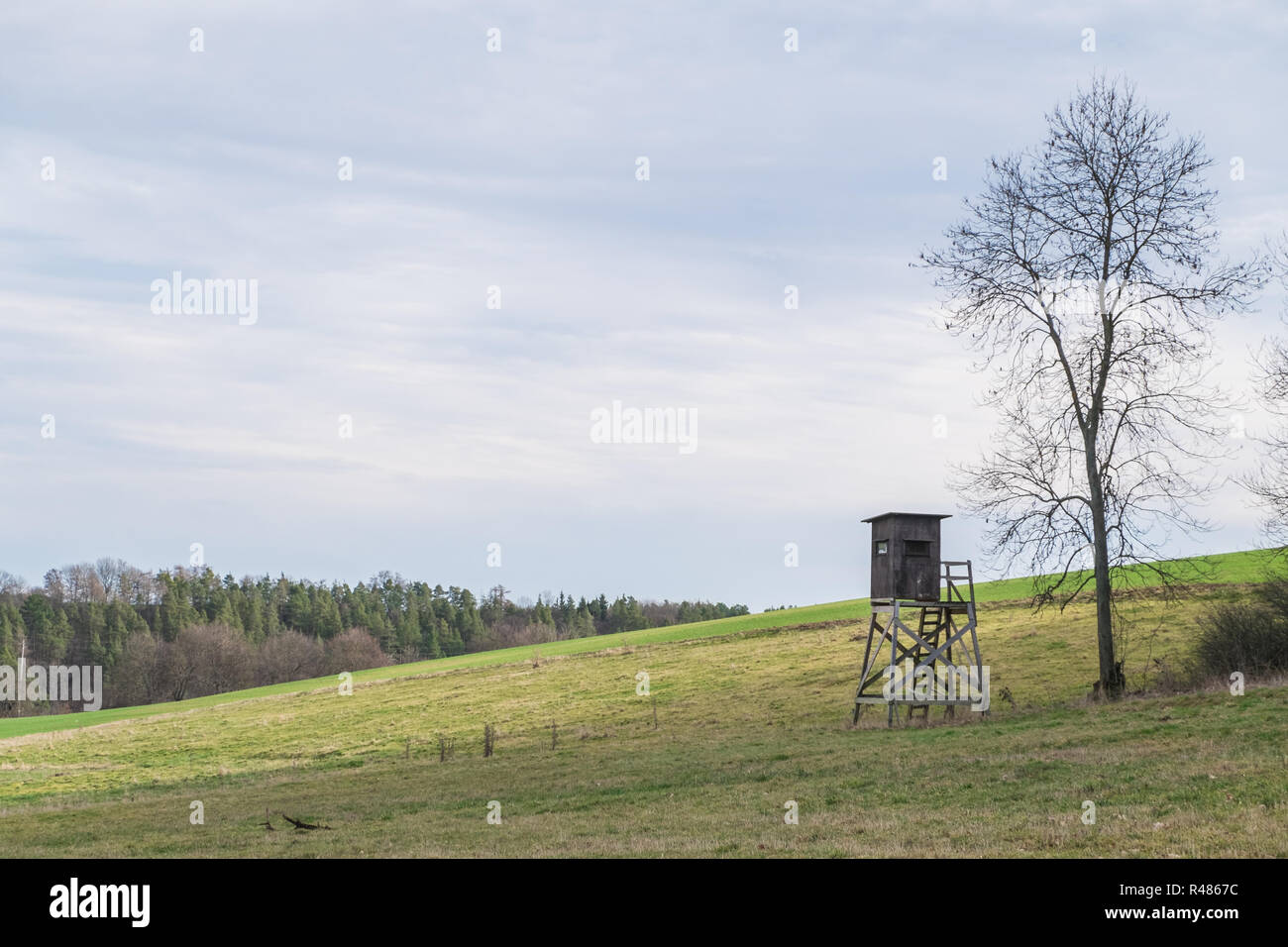 landscape in spring Stock Photo - Alamy