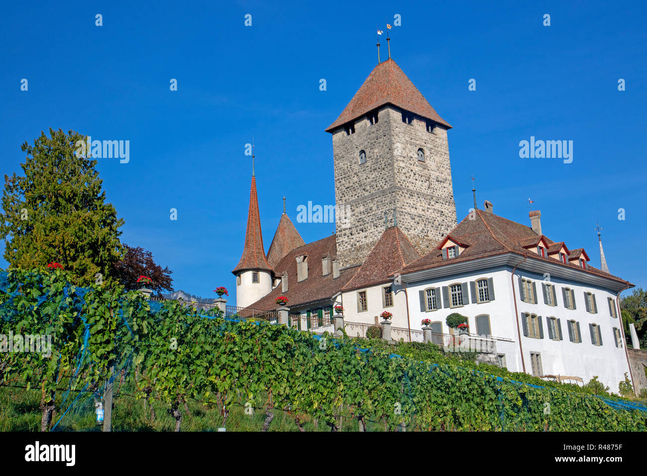 Spiez Castle High Resolution Stock Photography and Images - Alamy