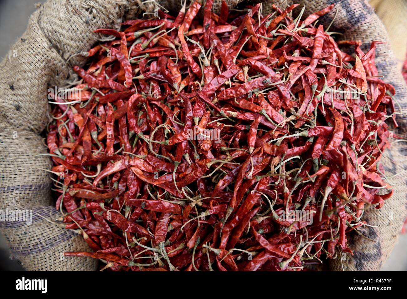 India Chilli Peppers High Resolution Stock Photography and Images - Alamy