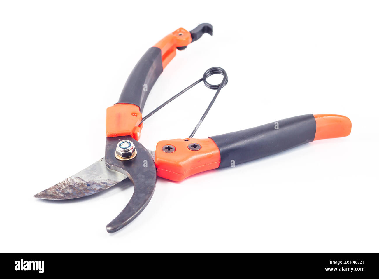 Pruner isolated on white background Stock Photo - Alamy