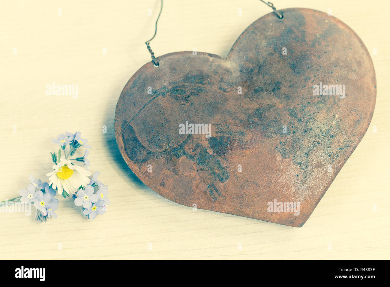 Flower jealousy hi-res stock photography and images - Alamy