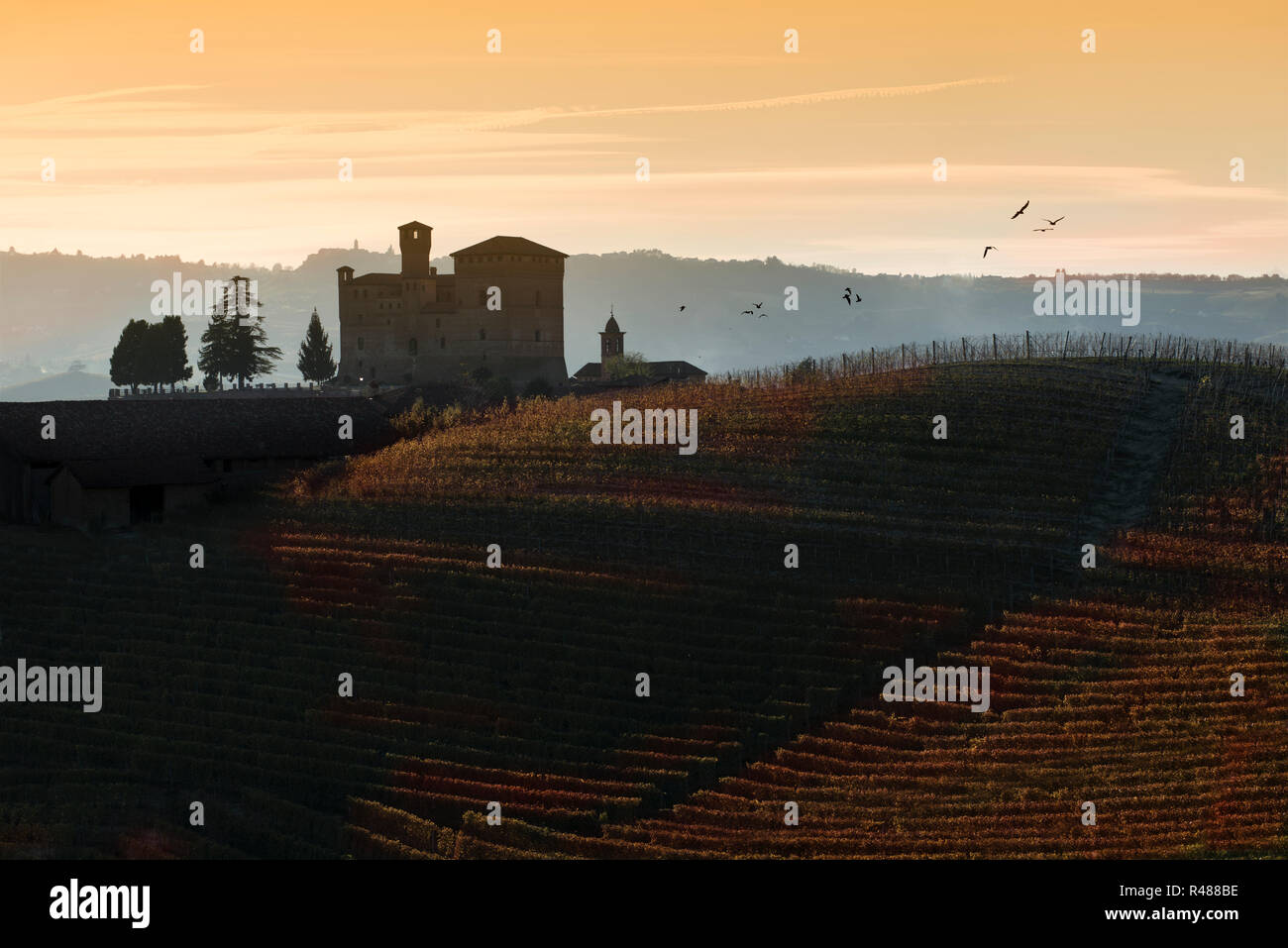 Sunset views in the Langhe Unesco heritage Stock Photo - Alamy