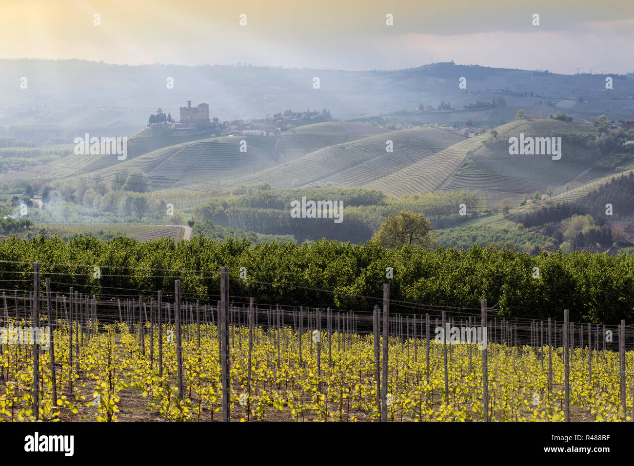Spring View the Langhe Unesco heritage Stock Photo - Alamy