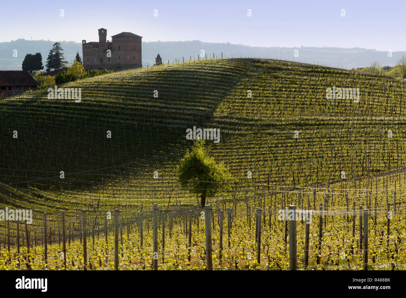 Spring View the Langhe Unesco heritage Stock Photo - Alamy