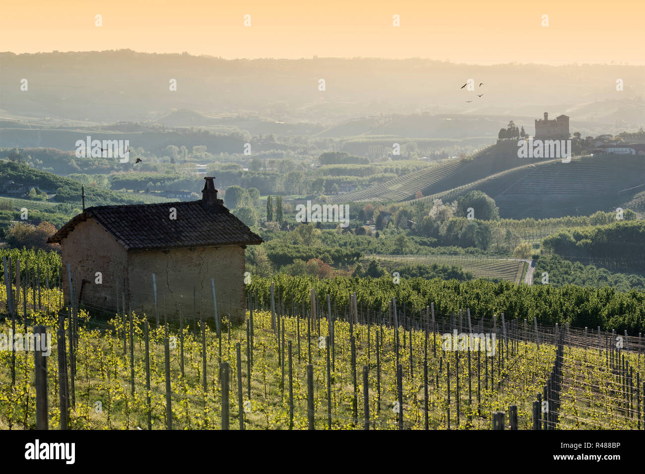 Spring View the Langhe Unesco heritage Stock Photo - Alamy