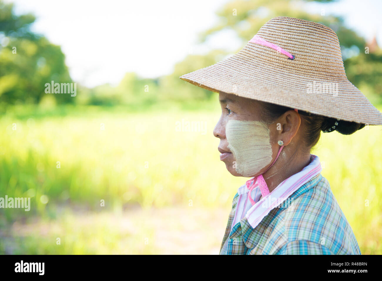 Traditional mature Myanmar female farmer Stock Photo - Alamy
