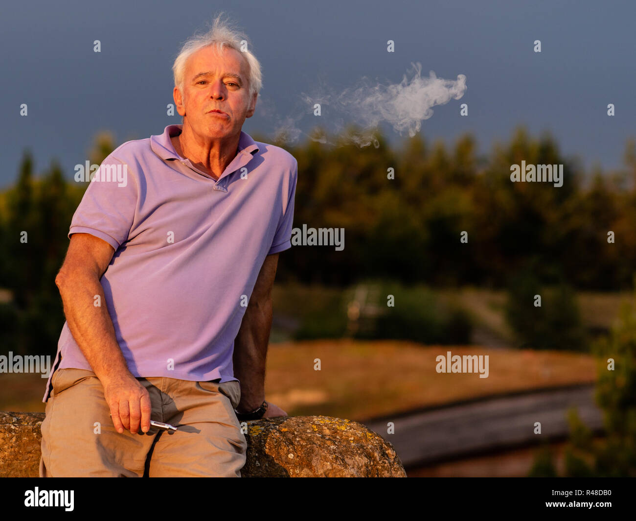 Handsome older man hi-res stock photography and images - Alamy