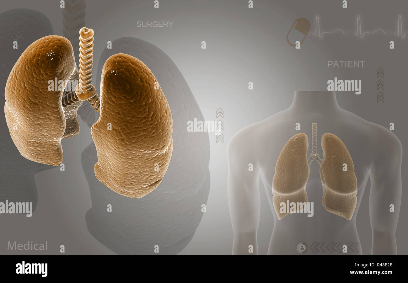 Xray of lungs with red hi-res stock photography and images - Alamy