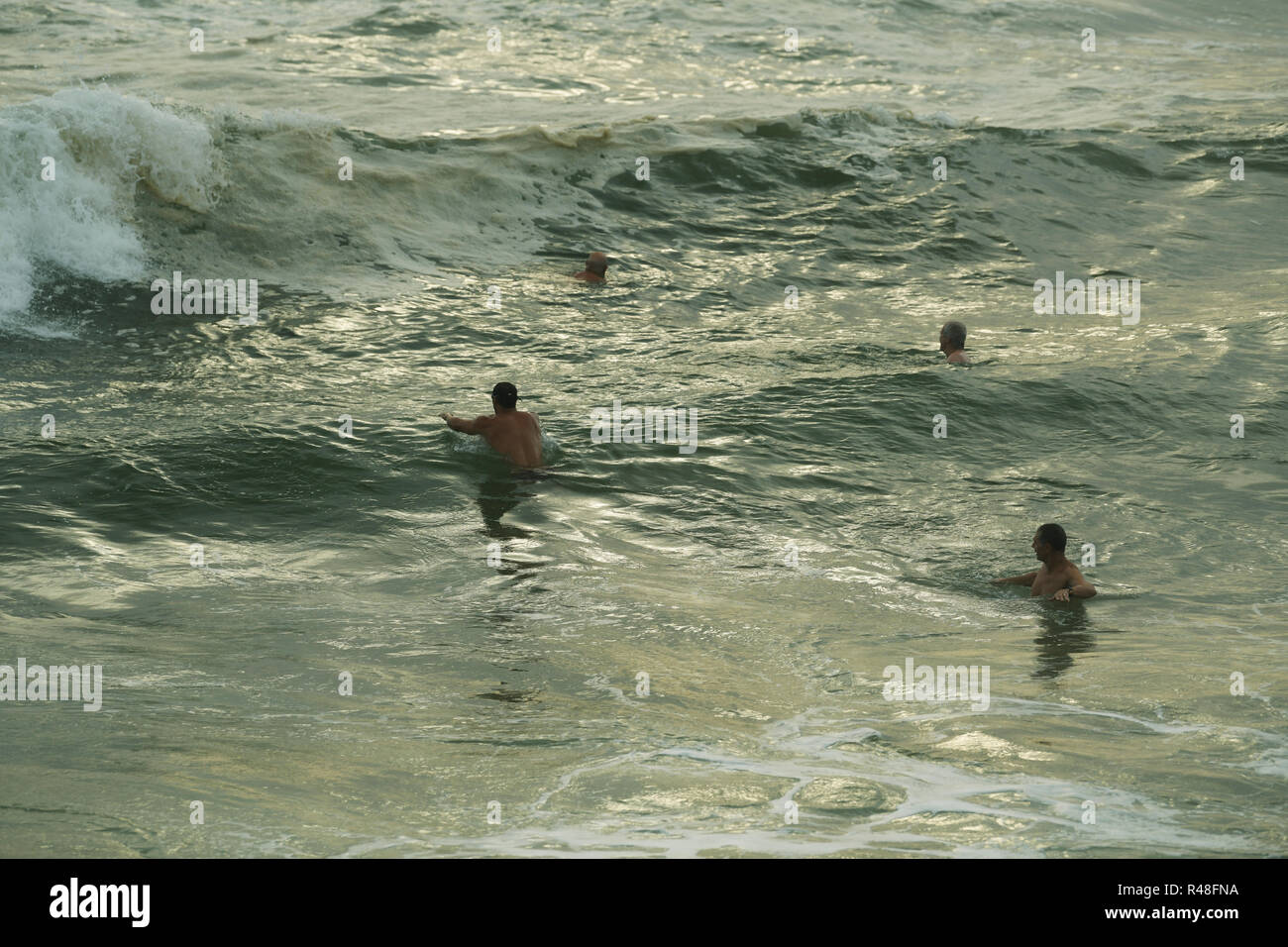 Group of four adult male swimmers preparing for open water swim in sea ...