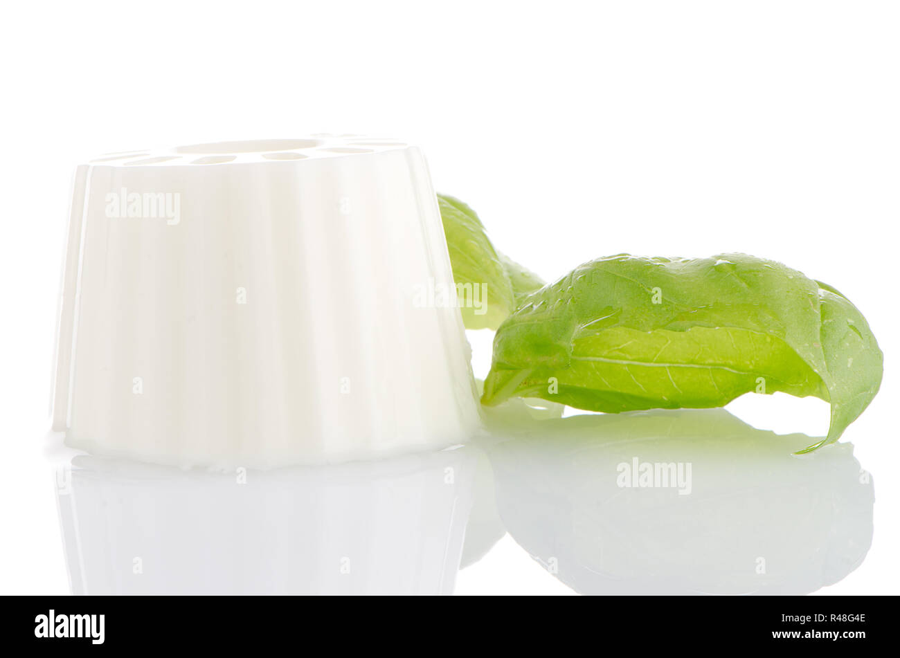 White fresh cheese Stock Photo - Alamy