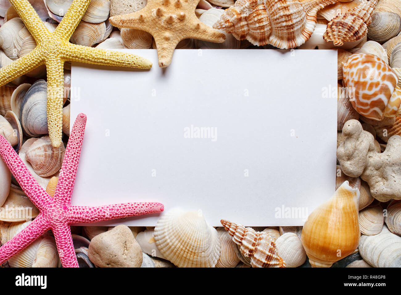 blank sheet of paper on sea Shell background Stock Photo - Alamy