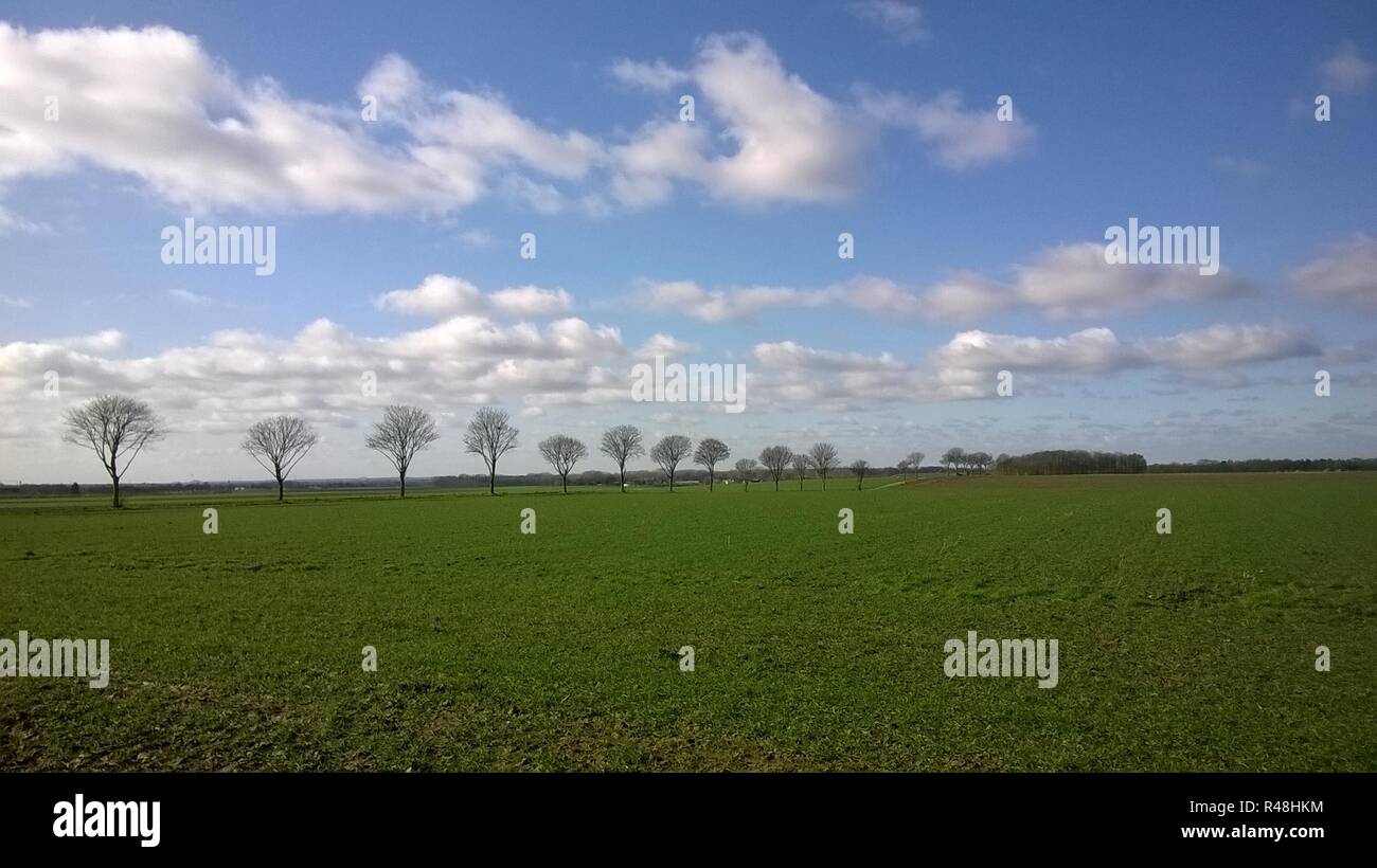 landscape in the selfkant,nrw / germany Stock Photo - Alamy