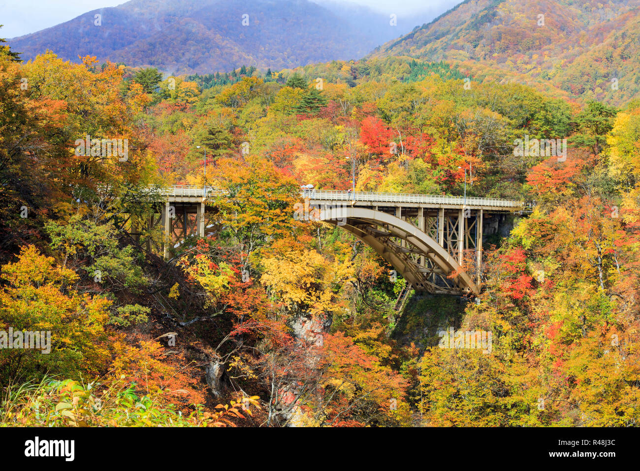 Sendai Japan Autumn High Resolution Stock Photography and Images - Alamy