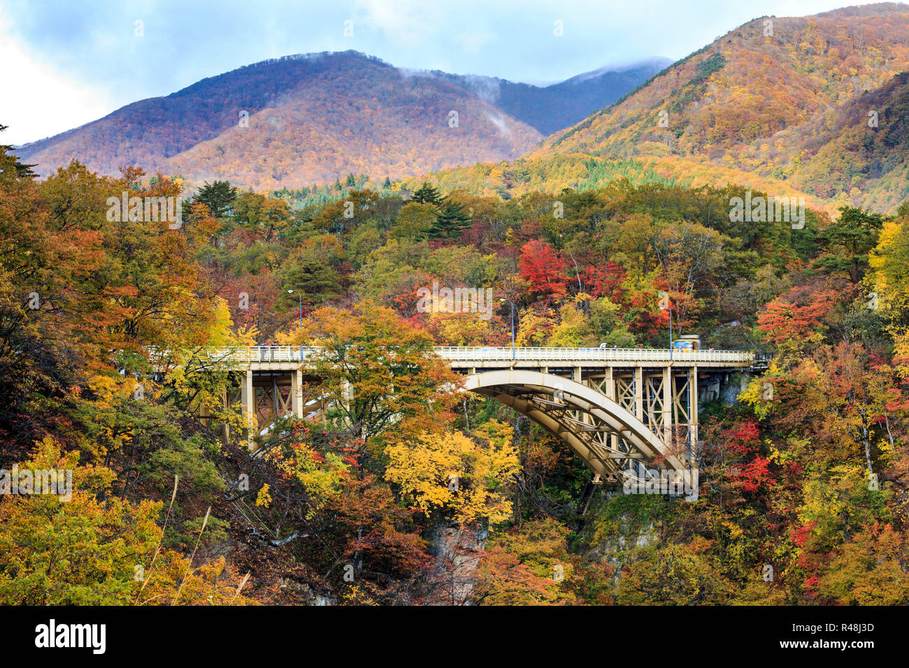 Sendai Japan Autumn High Resolution Stock Photography and Images - Alamy