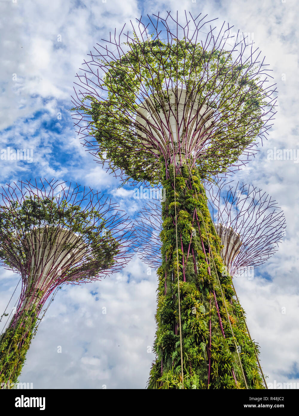 Supertree Grove trees in the Gardens by the Bay Stock Photo - Alamy