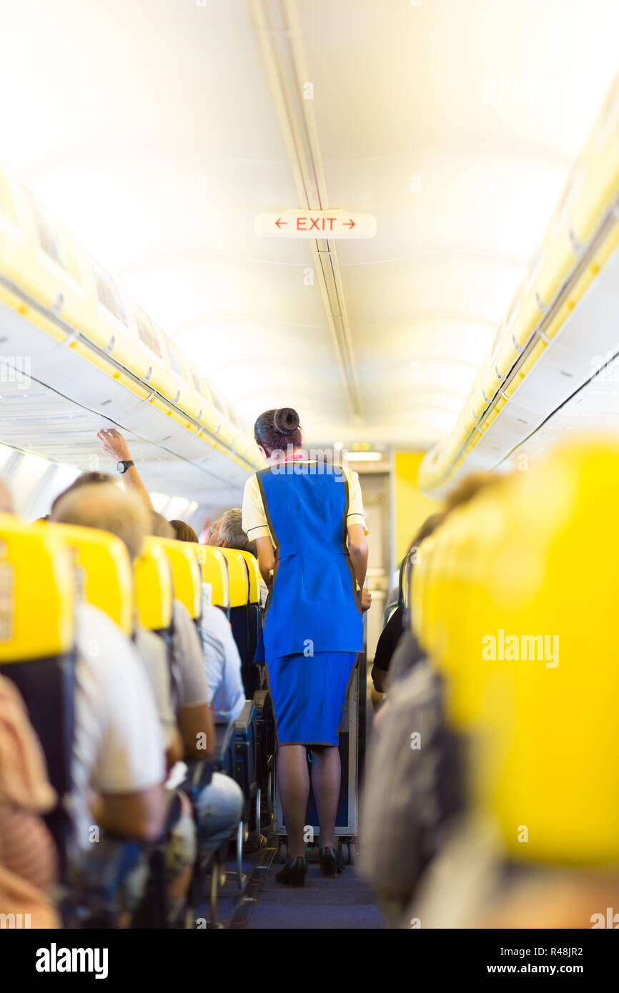 Stewardess and passengers on commercial airplane Stock Photo - Alamy