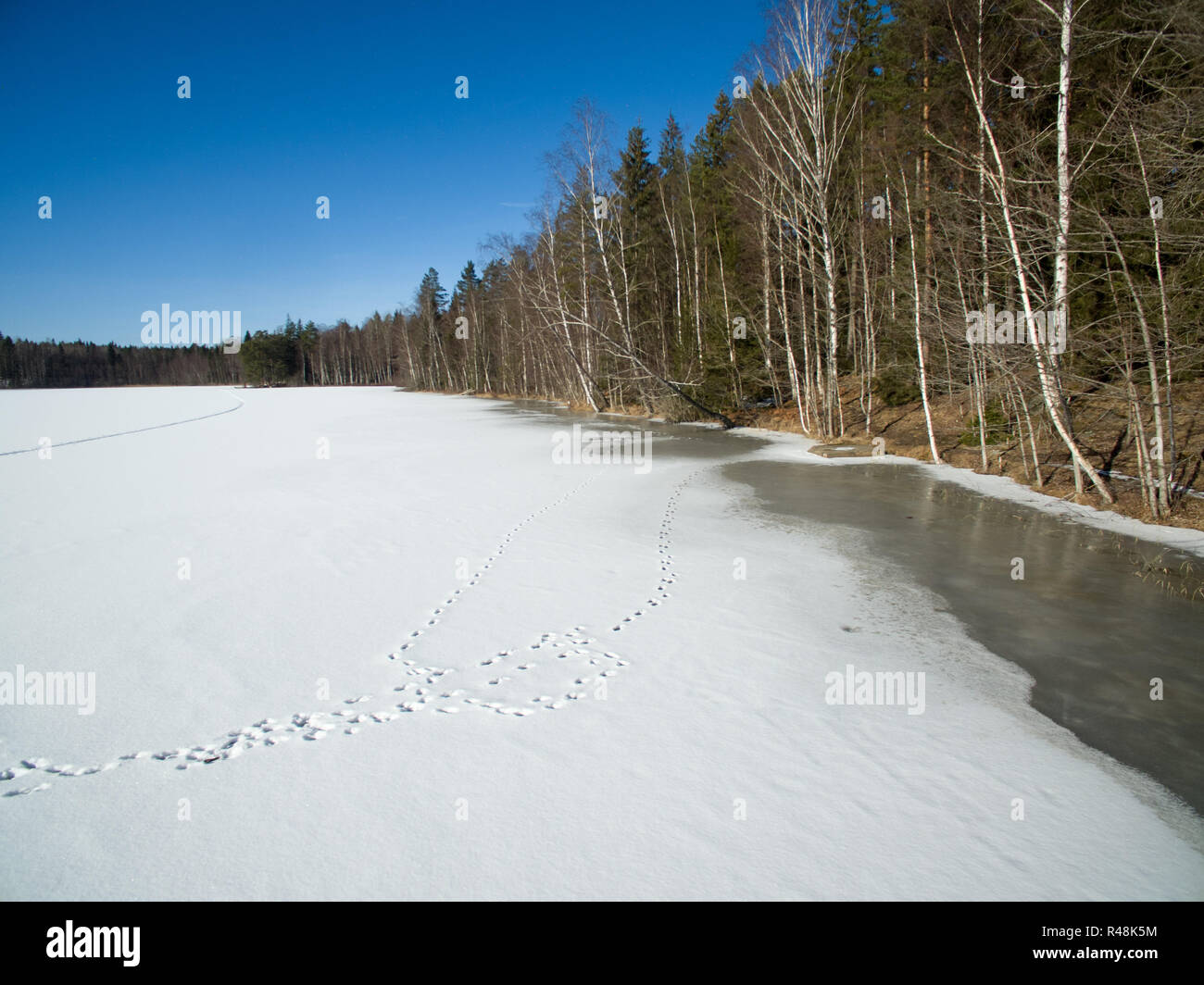 Serene scene frozen water fall hi-res stock photography and images - Alamy