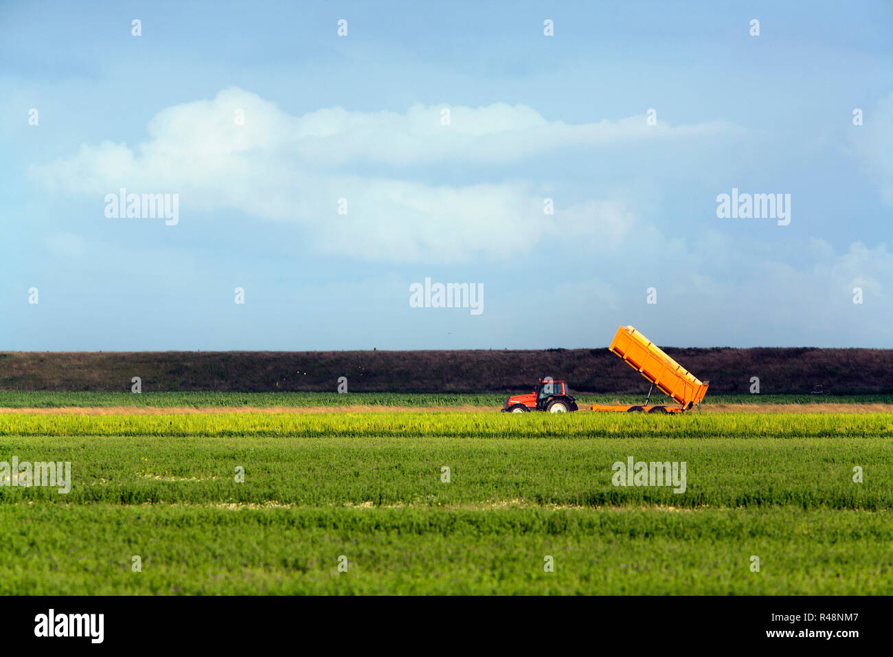 Tractor tipper trailer Stock Photo - Alamy