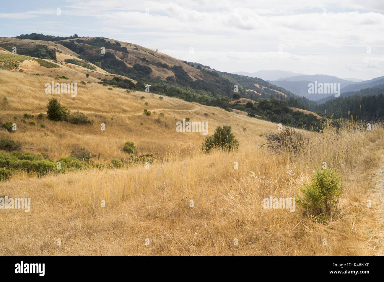 russian ridge trail, santa cruz Stock Photo - Alamy