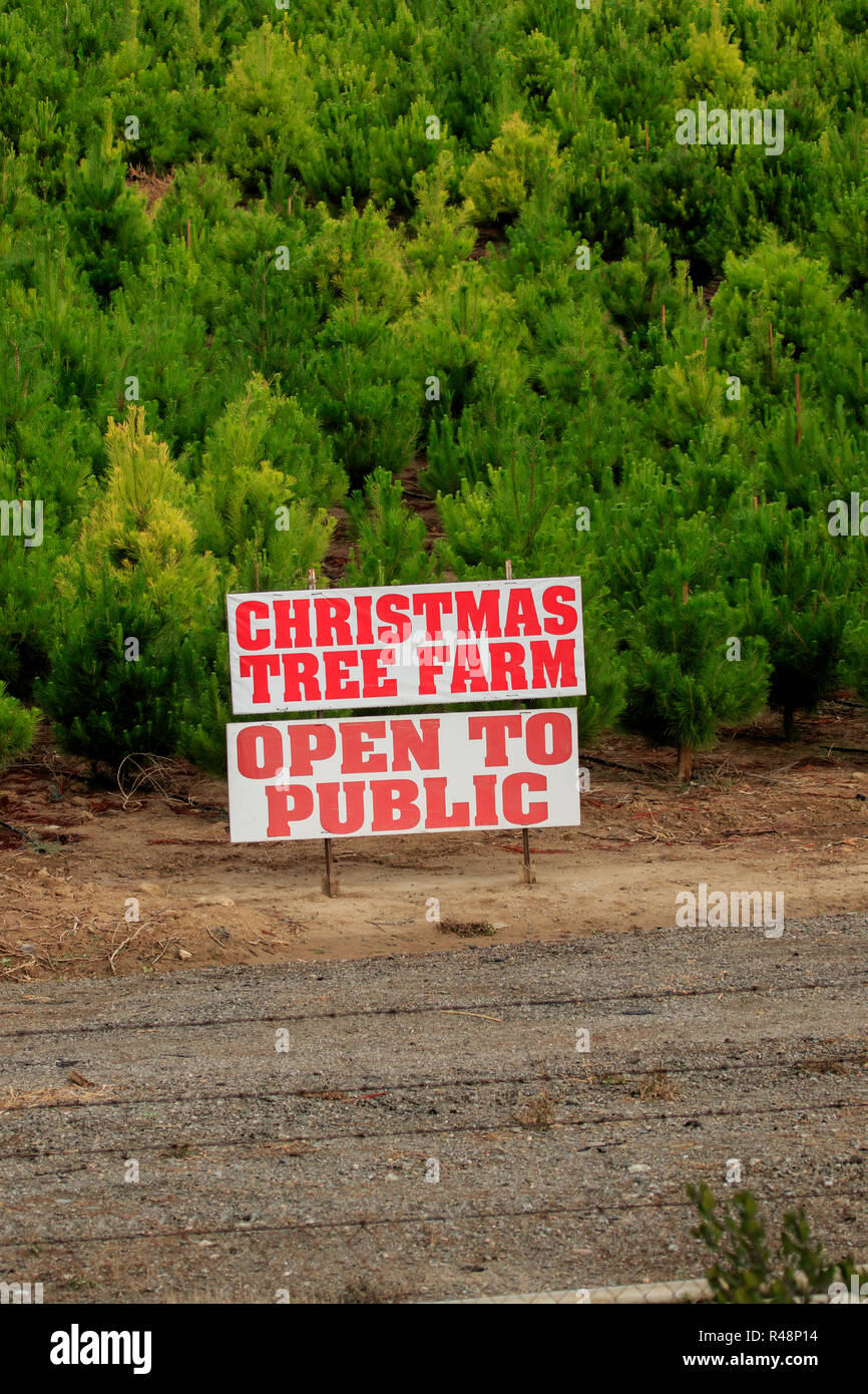 Christmas tree farm sign in Southern California USA Stock Photo - Alamy
