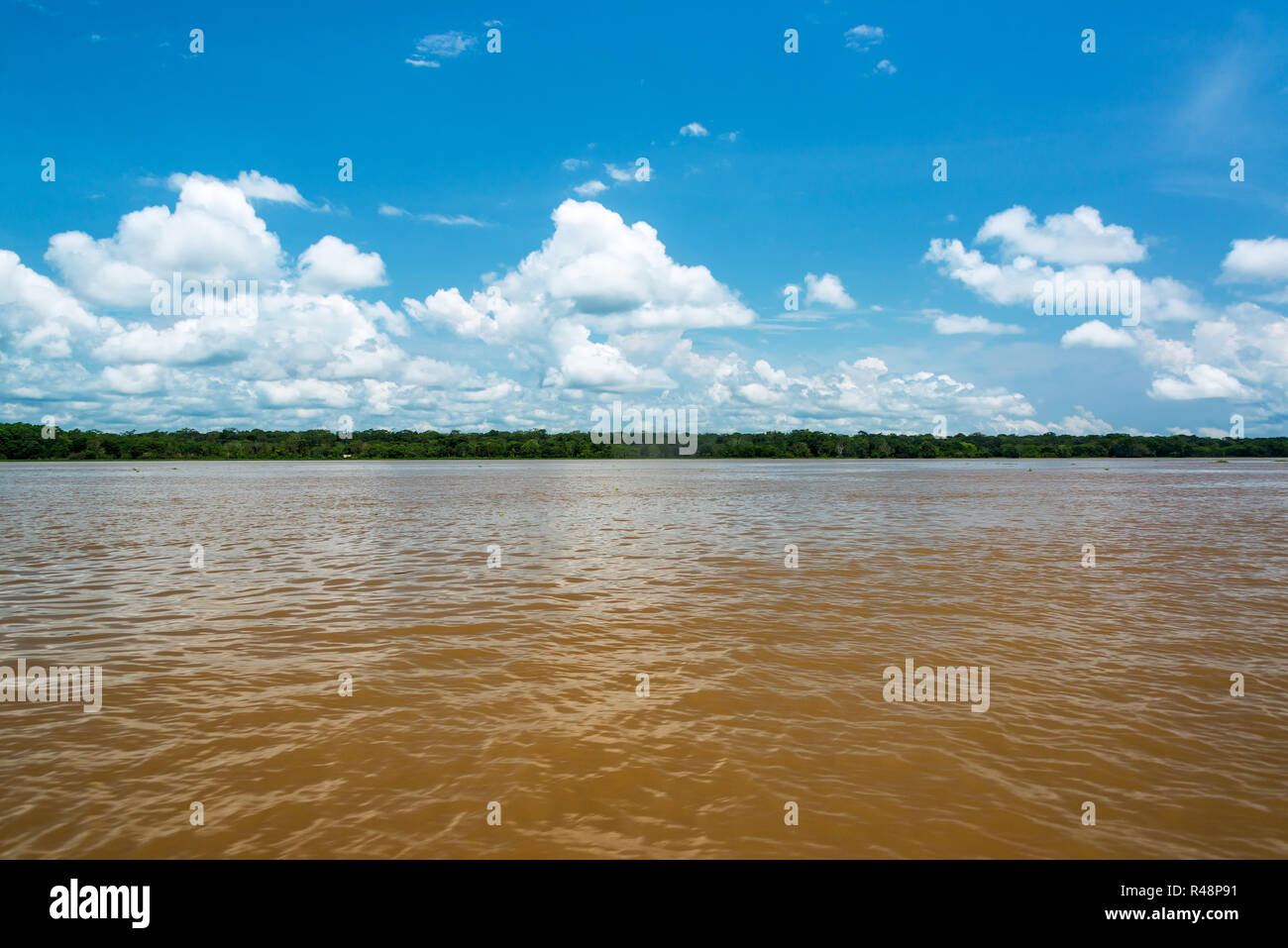 View of the Amazon River Stock Photo - Alamy