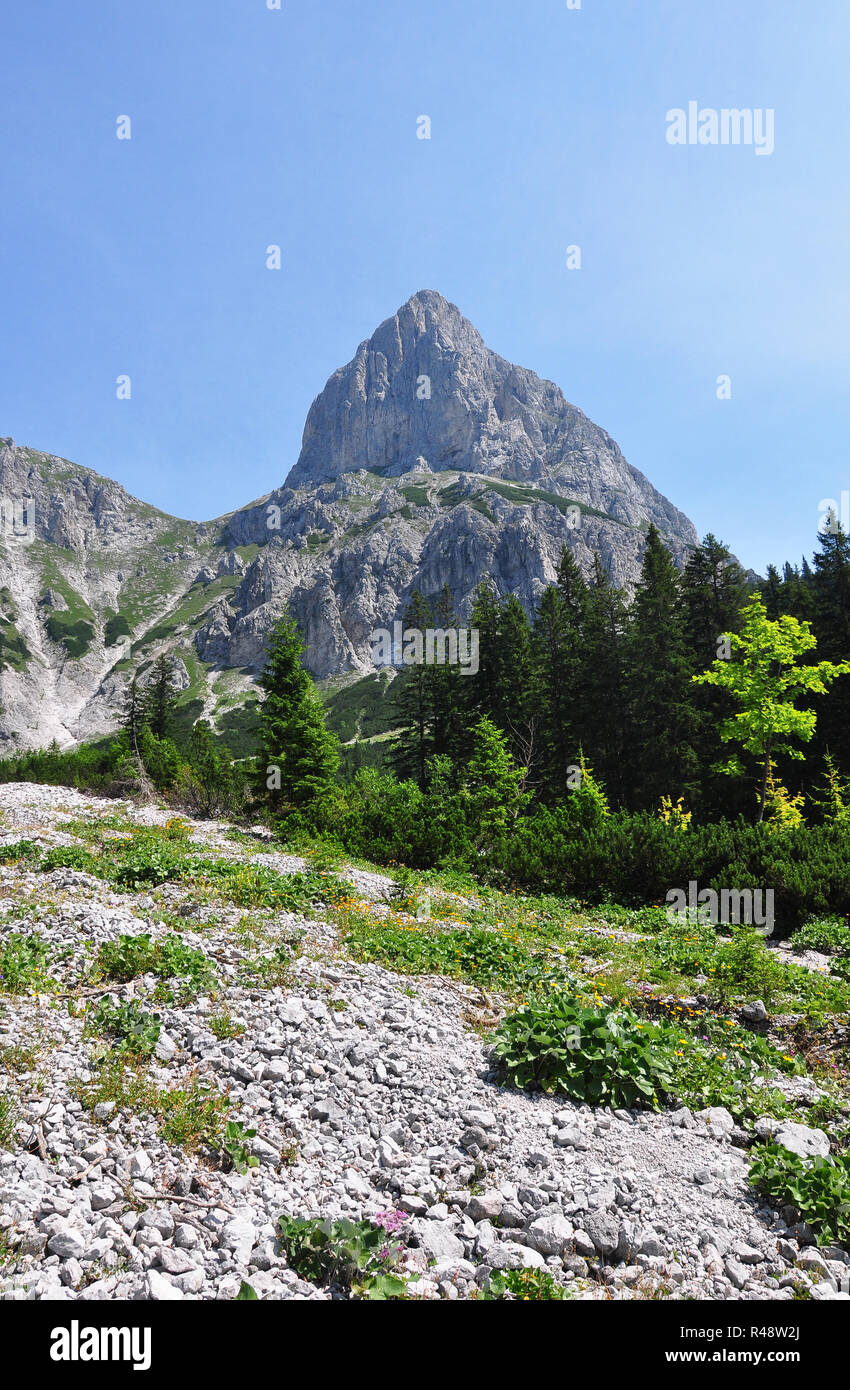 Alpine peak and debris view hi-res stock photography and images - Alamy