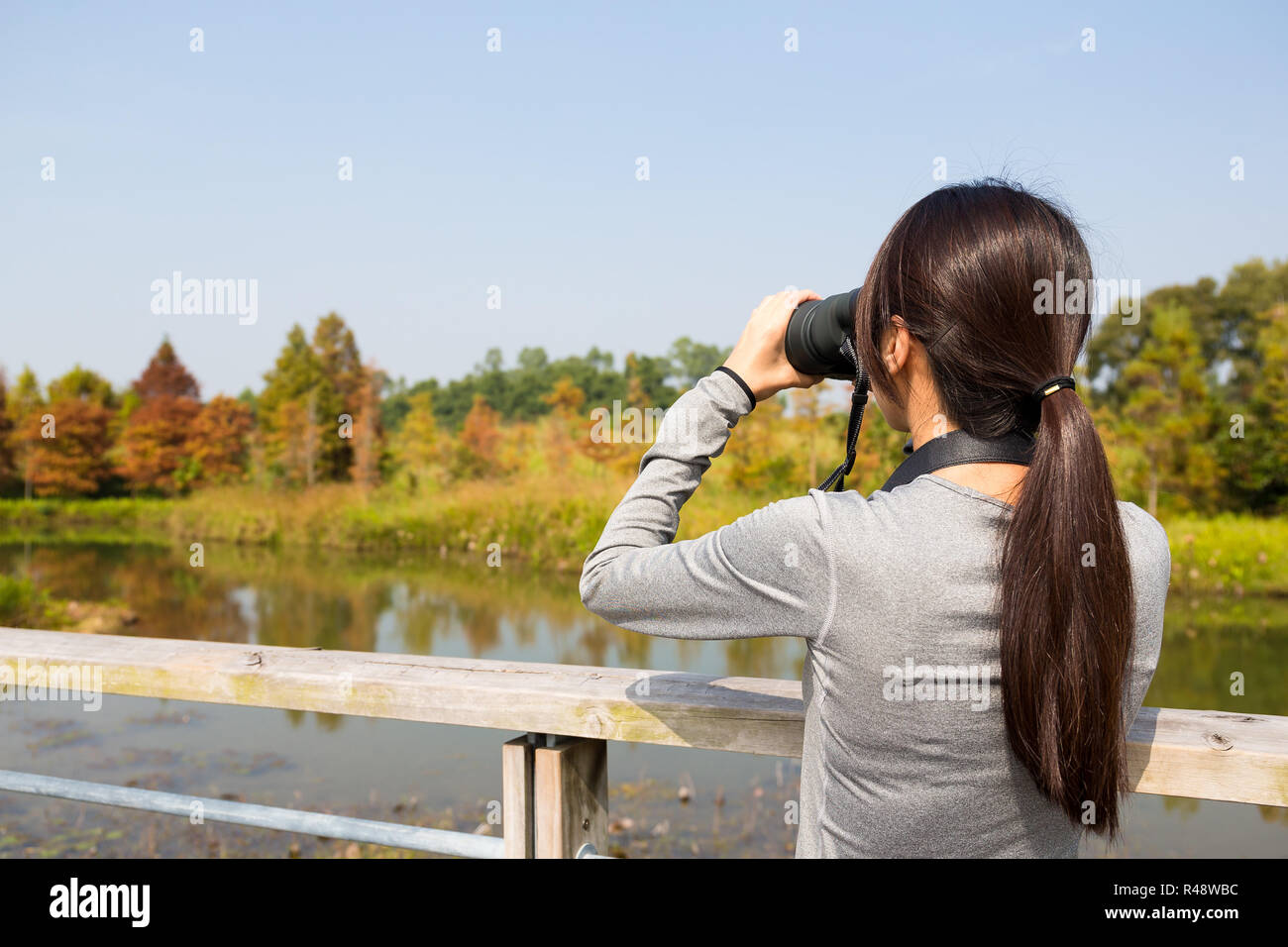 Green back telescope hi-res stock photography and images - Alamy