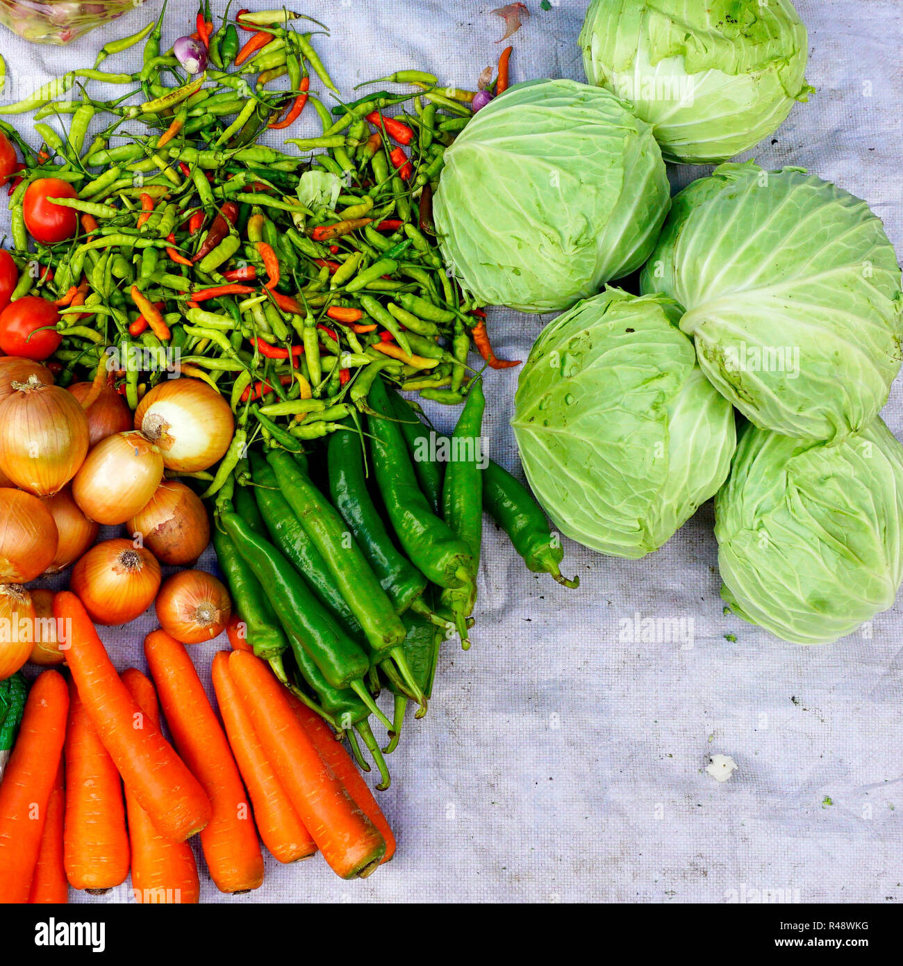 Mixed culture carrot plant hi-res stock photography and images - Alamy