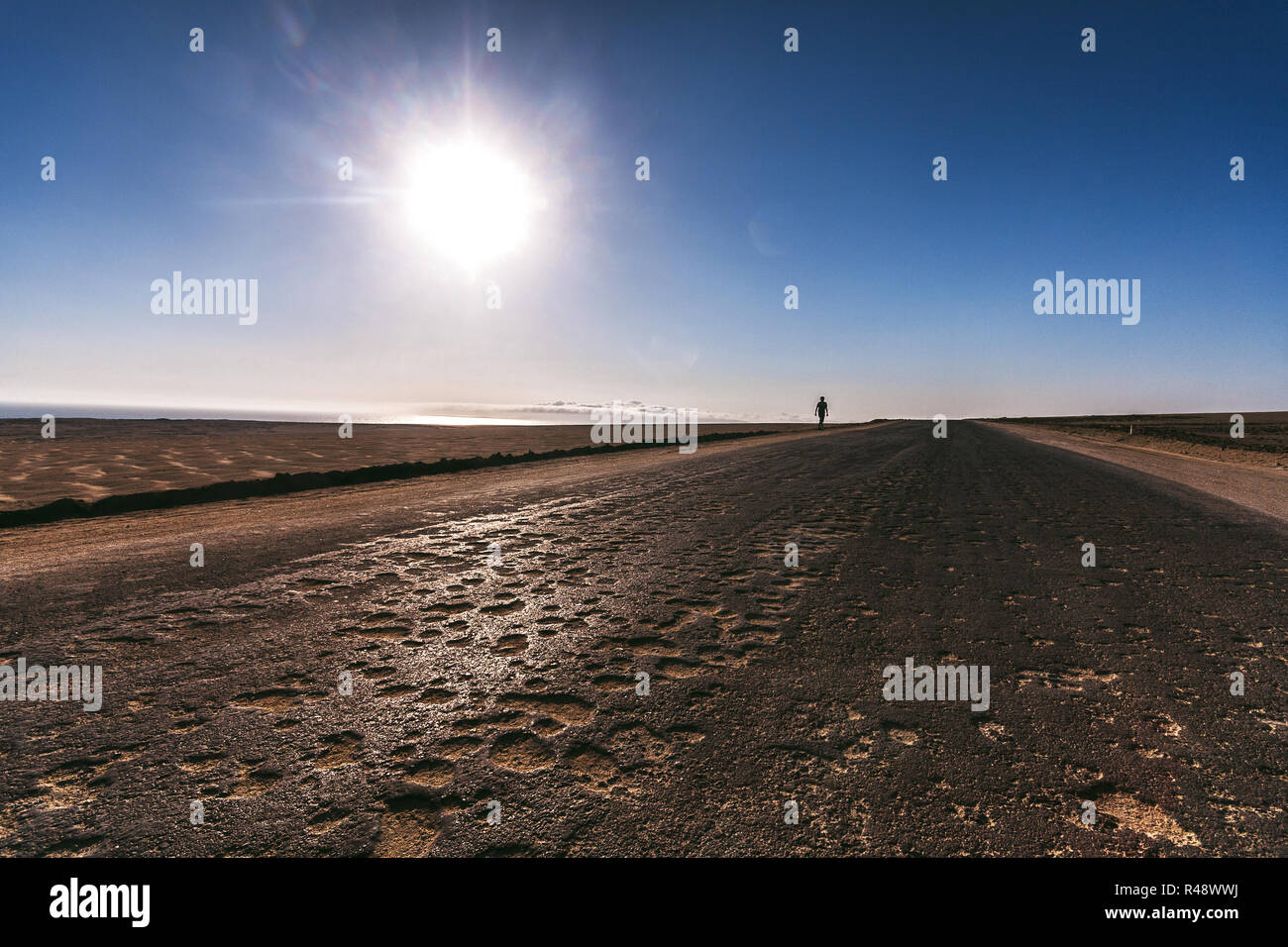 A person walking along the cracked track in the desert with the sun on ...